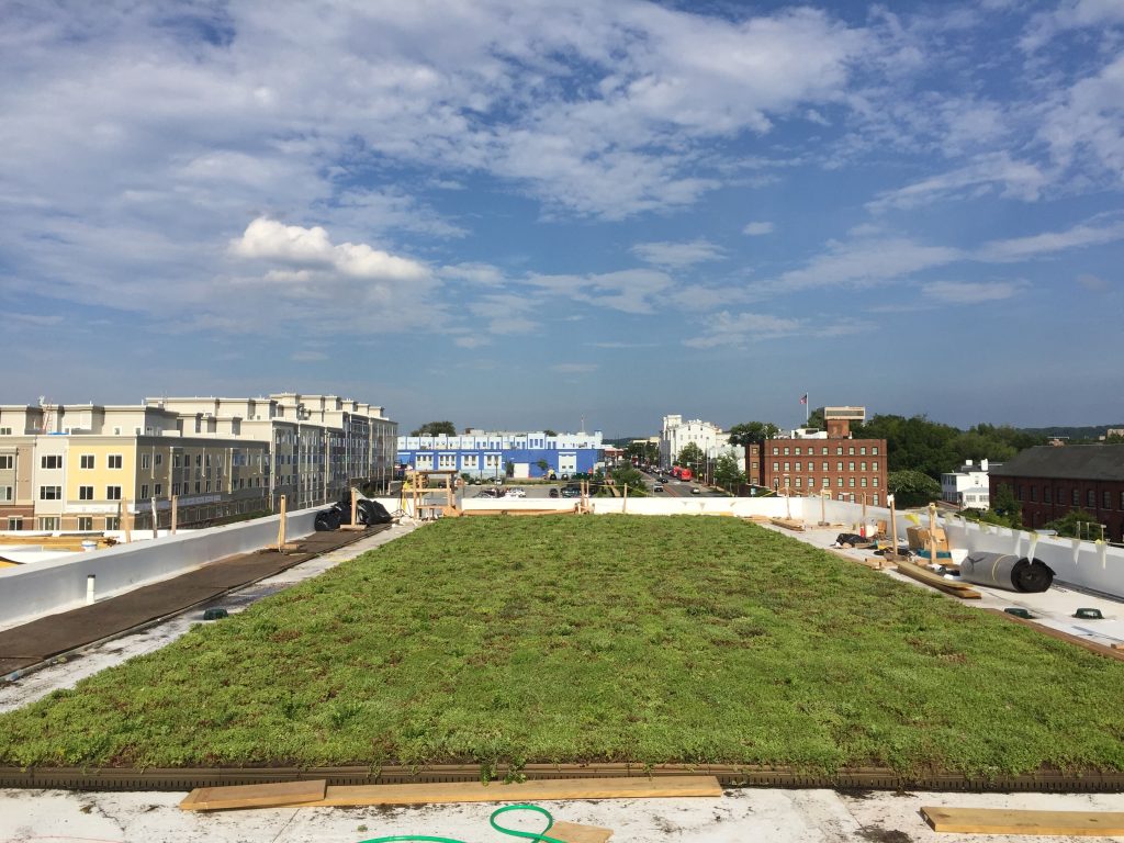 Van Ness Elementary SchoolWashington DC Riverbend Greenroofs